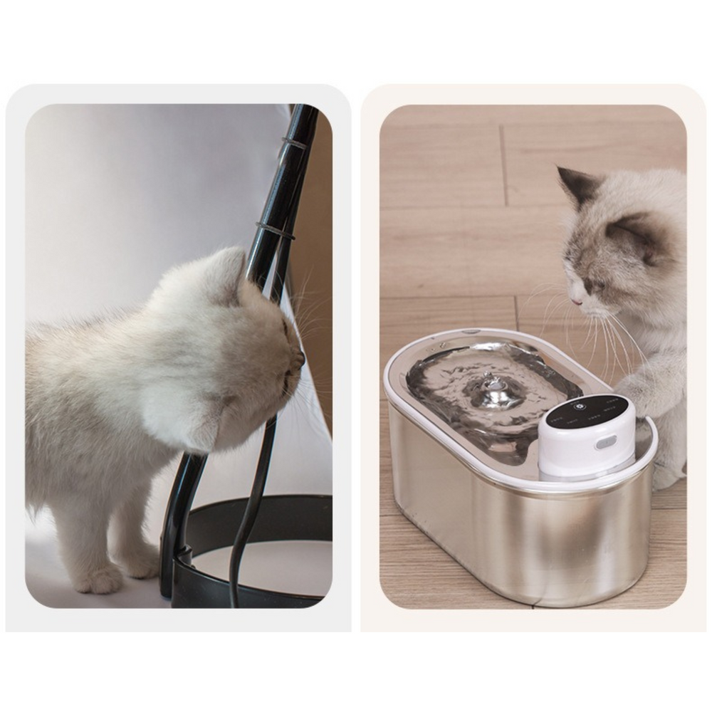 Purr-Flow™ Water Fountain – Purr-Pod