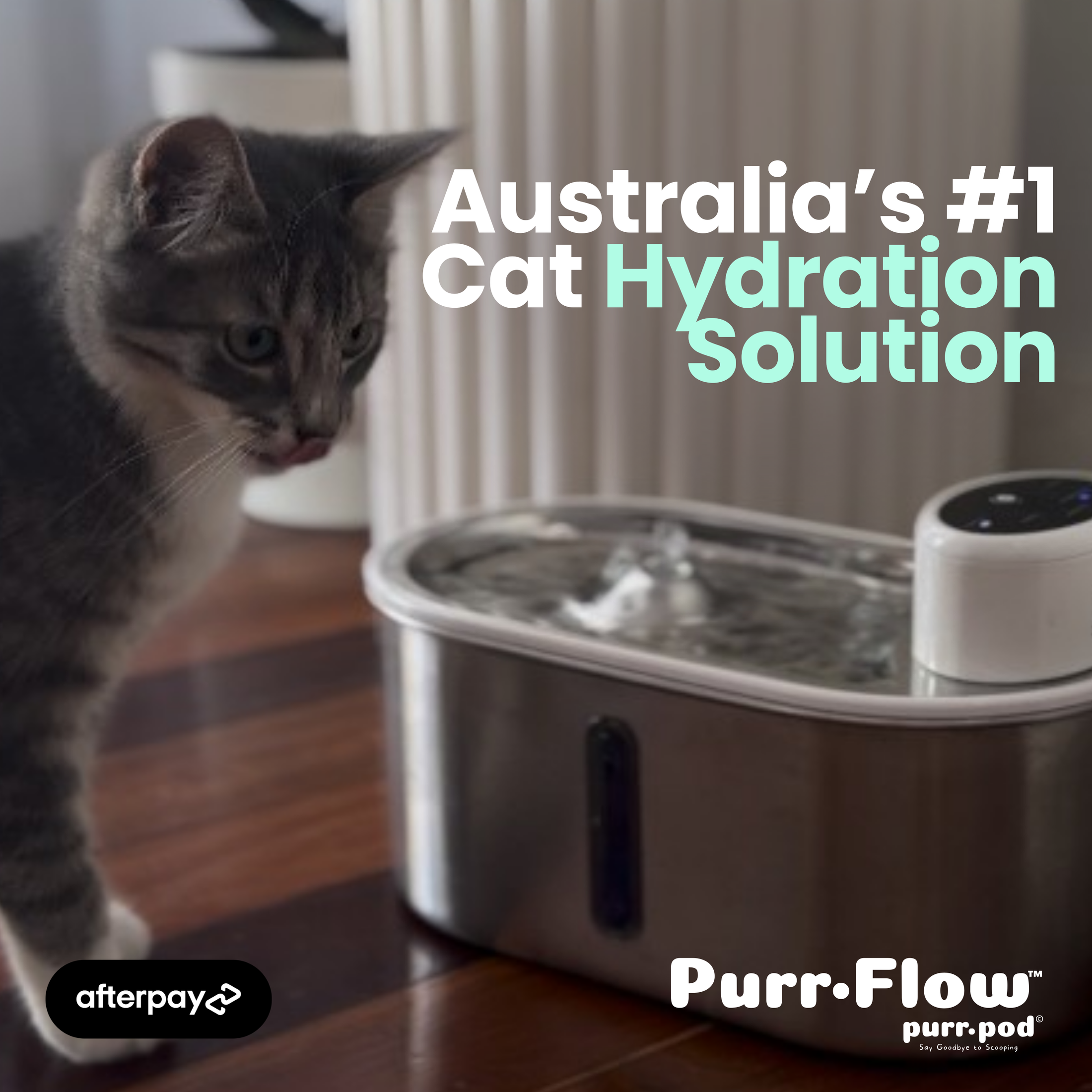 Purr-Flow™ Water Fountain – Purr-Pod