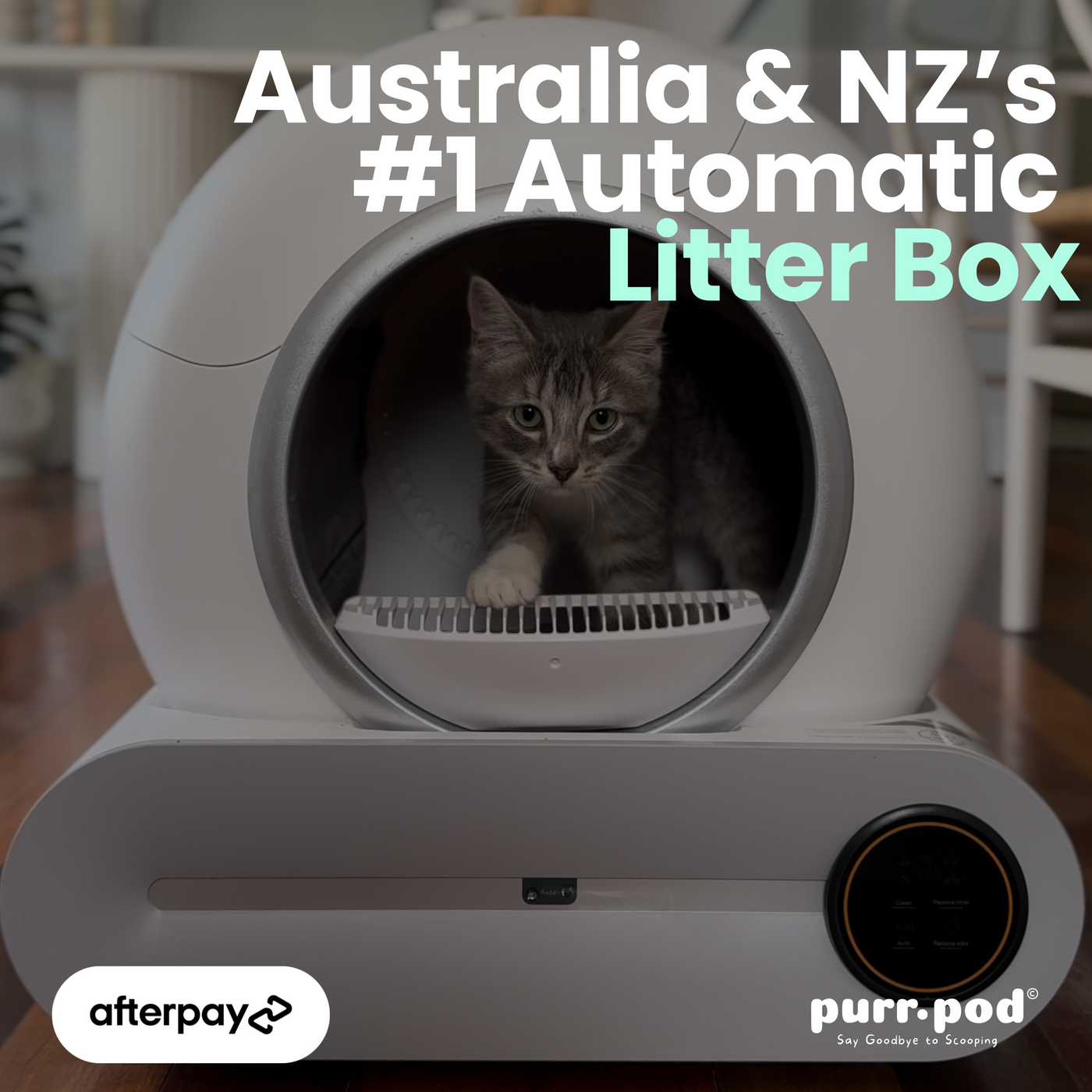 Purr-Pod™ Automatic Litter Box