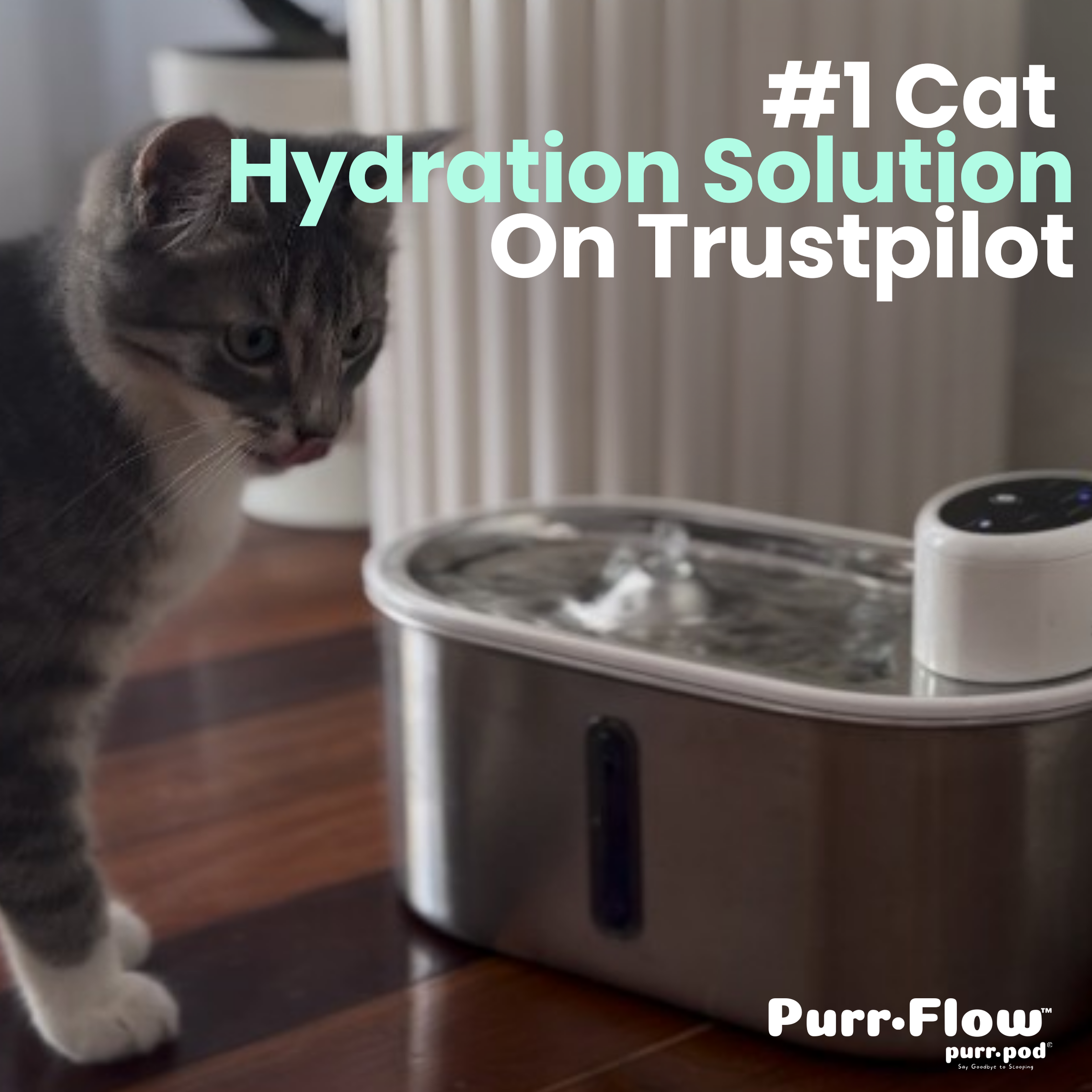 Purr-Flow™ Water Fountain – Purr-Pod