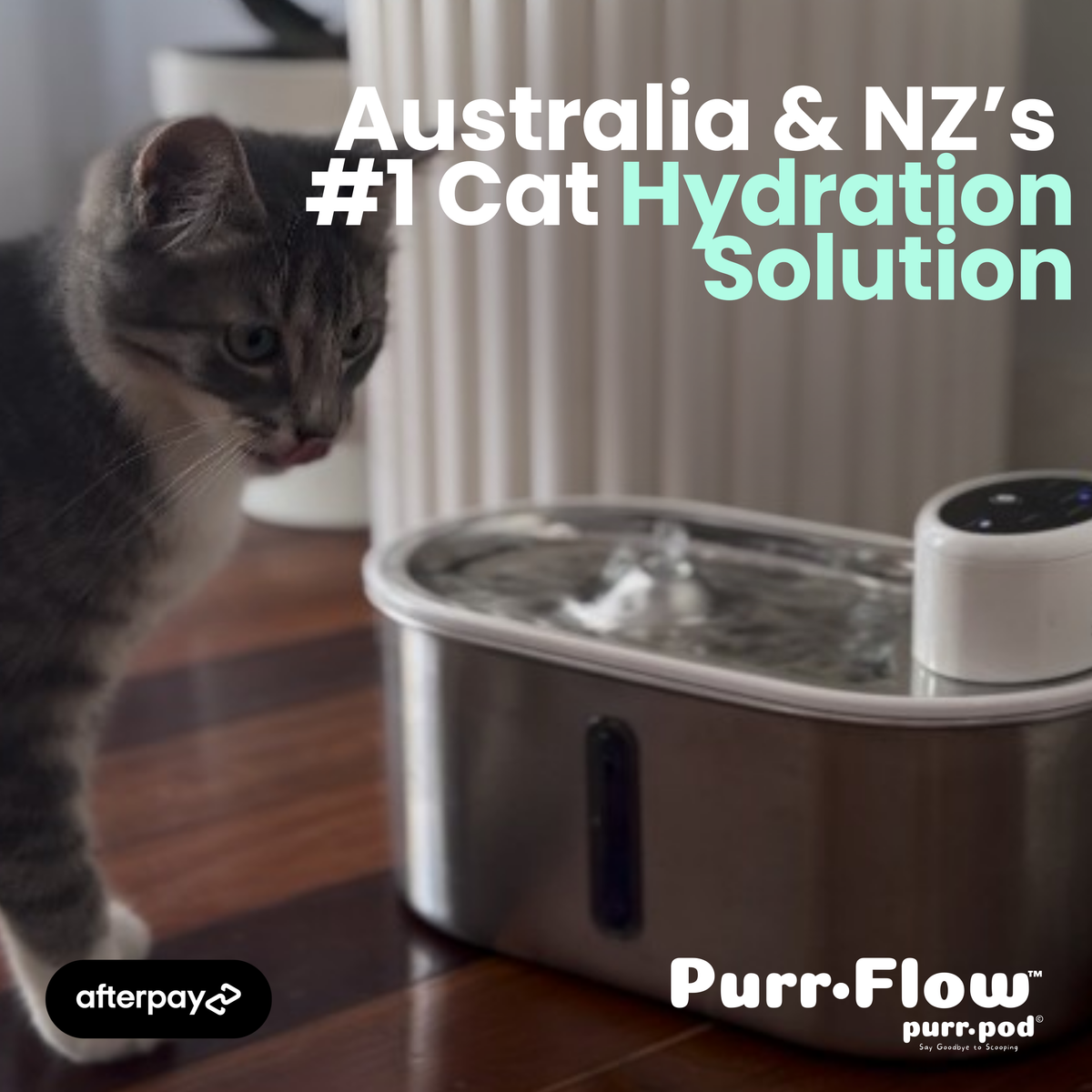 Purr-Flow™ Water Fountain – Purr-Pod