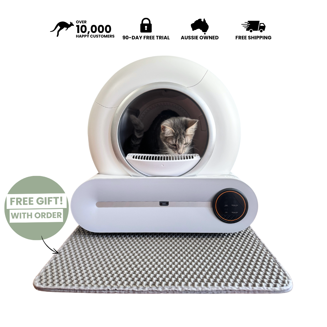 Purr-Pod™ Automatic Litter Box