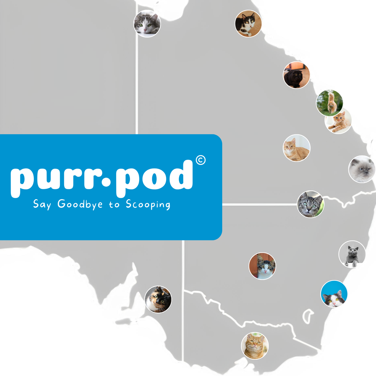 Purr-Pod™ Automatic Litter Box