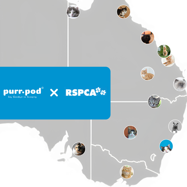 Purr-Pod™ Automatic Litter Box