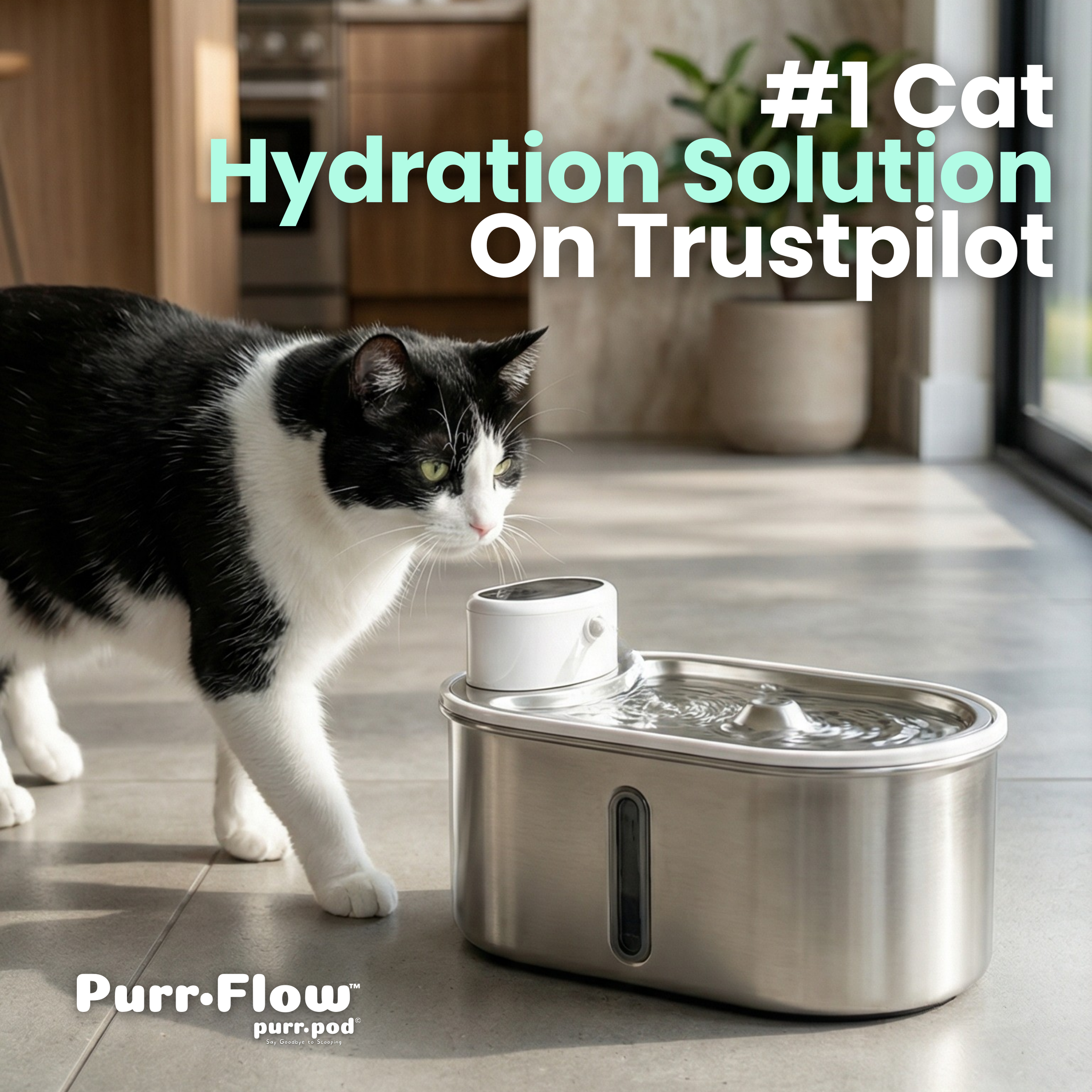 Purr-Flow™ Water Fountain – Purr-Pod