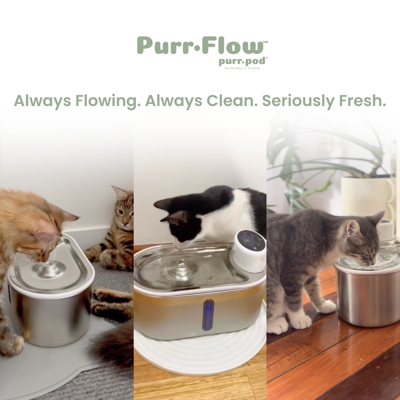 Purr-Flow™ Water Fountain – Purr-Pod