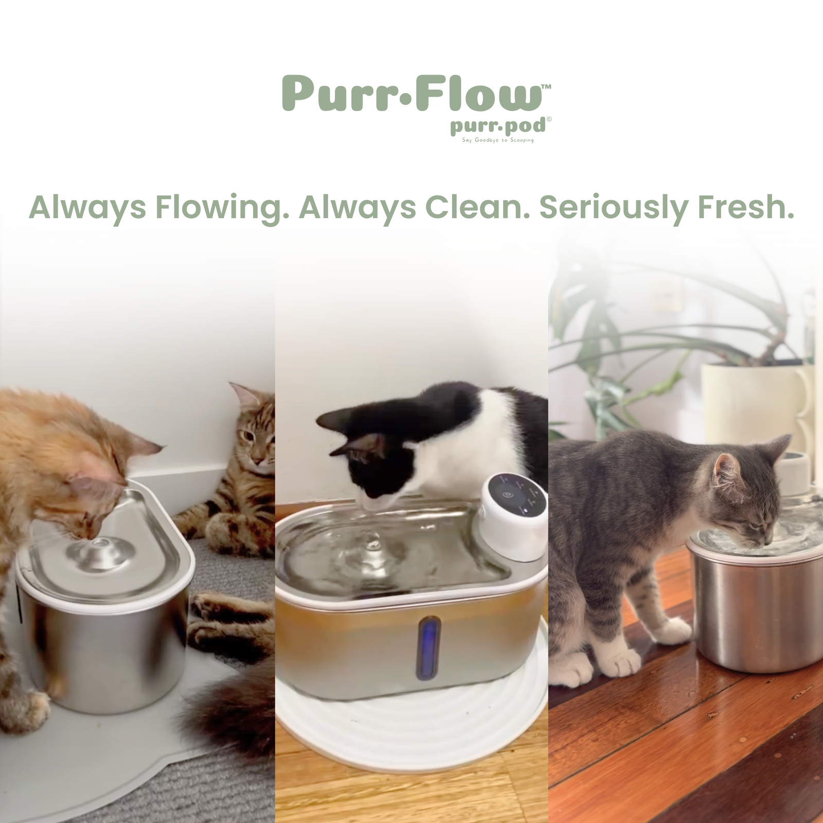 Purr-Flow™ Water Fountain – Purr-Pod