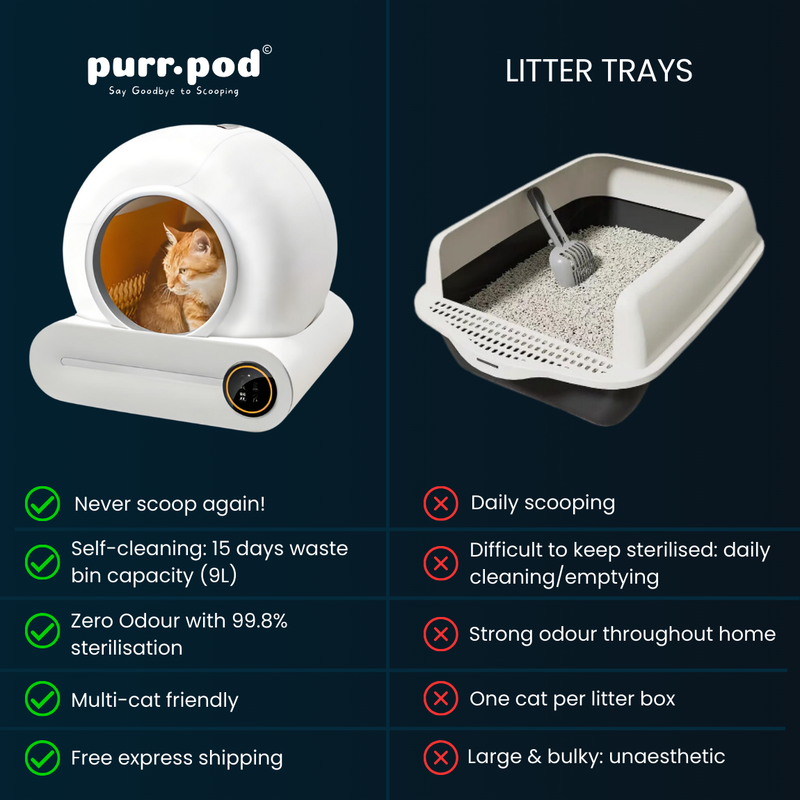 Purr-Pod™ Automatic Litter Box